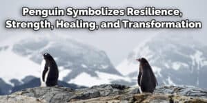 Penguin Spiritual Meaning, Symbolism, and Totem | Explained
