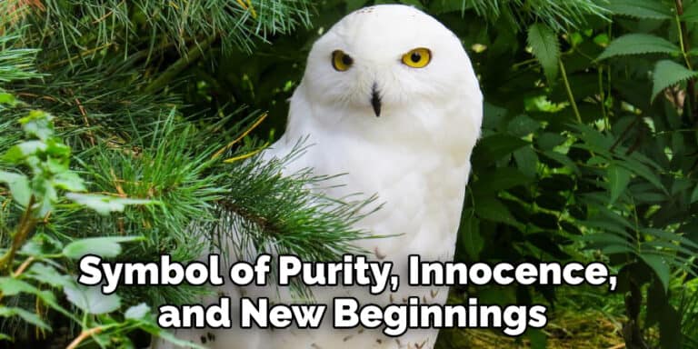 Snowy Owl Spiritual Meaning, Symbolism, and Totem | Explained