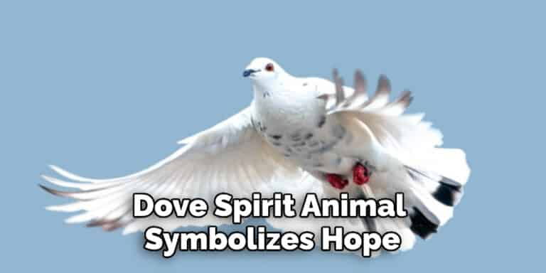 Wings of a Dove Meaning and Symbolism | Explained (2026)