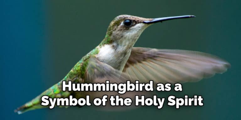 Hummingbird Spiritual Meaning | (2022)