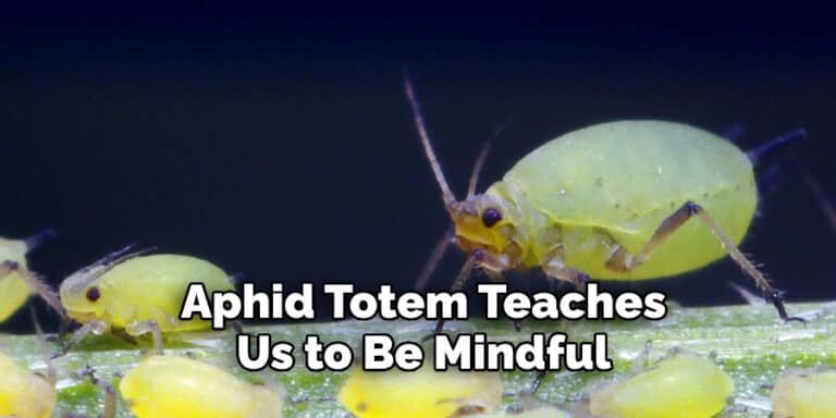 Aphid Spiritual Meaning, Symbolism, and Totem | Explained