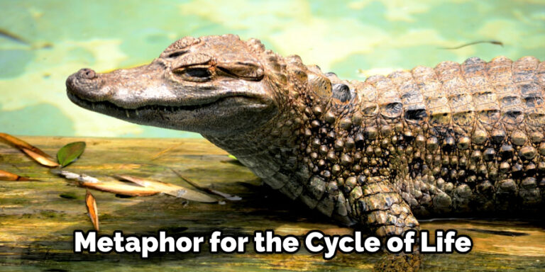 Caiman Meaning, Symbolism, and Totem | Complete Guide