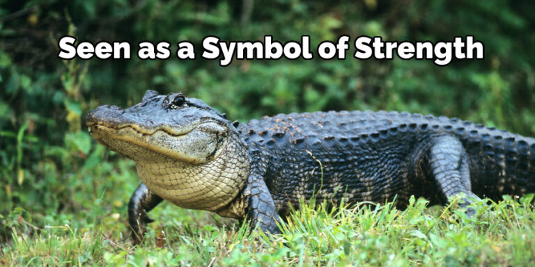 Alligator Spiritual Meaning, Symbolism, and Totem (2025)