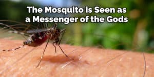 Mosquitoes Spiritual Meaning, Symbolism, and Totem (2023)