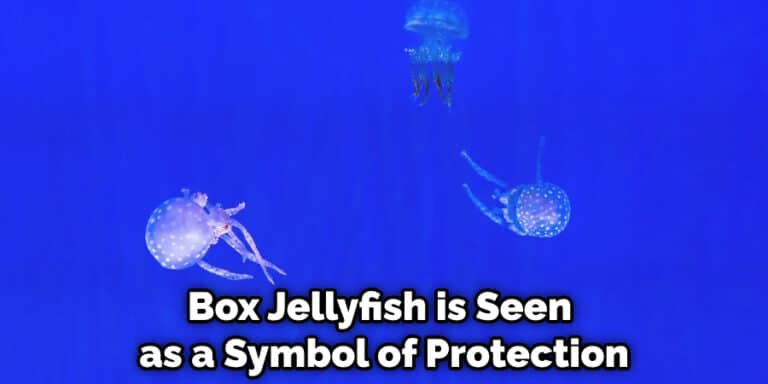 Box Jellyfish Spiritual Meaning, Symbolism, and Totem (2026)