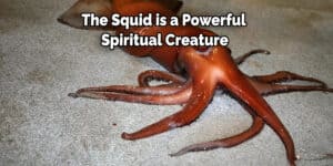Squid Spiritual Meaning, Symbolism, and Totem | Detailed Guide