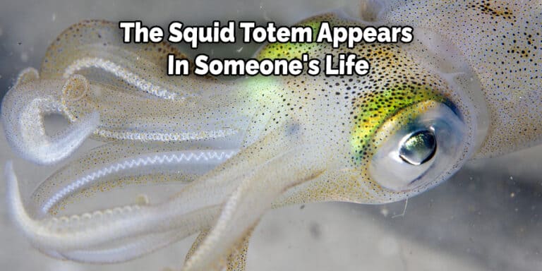 Squid Spiritual Meaning, Symbolism, and Totem | Detailed Guide