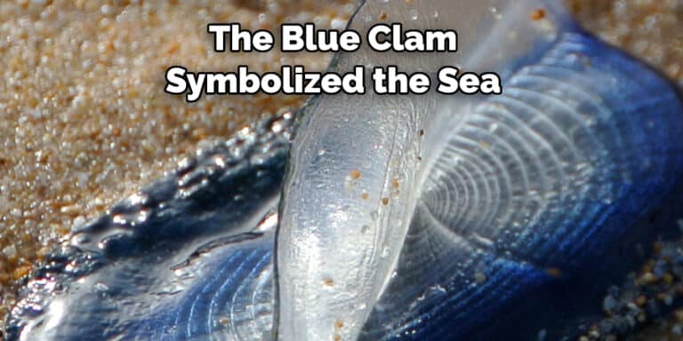 Blue Clam Spiritual Meaning, Symbolism, and Totem (2025)