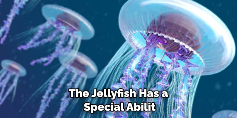 Blue Blubber Jellyfish Spiritual Meaning, Symbolism, and Totem