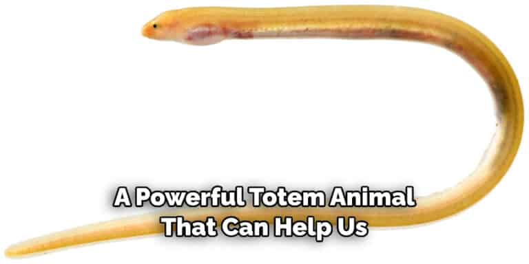 Eelworm Spiritual Meaning, Symbolism, and Totem | (2025)