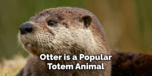Otter Spiritual Meaning, Symbolism, and Totem | Ultimate Guide