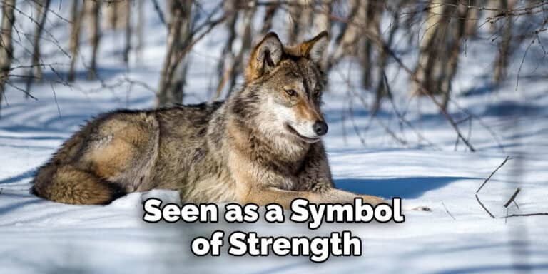 Wolf Spiritual Meaning, Symbolism, and Totem (2025)