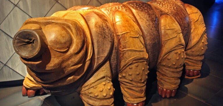 Tardigrade Spiritual Meaning, Symbolism, and Totem (2025)