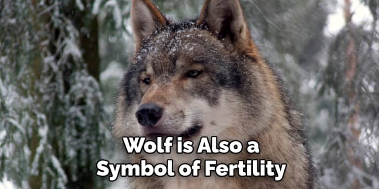 Wolf Spiritual Meaning, Symbolism, and Totem (2025)