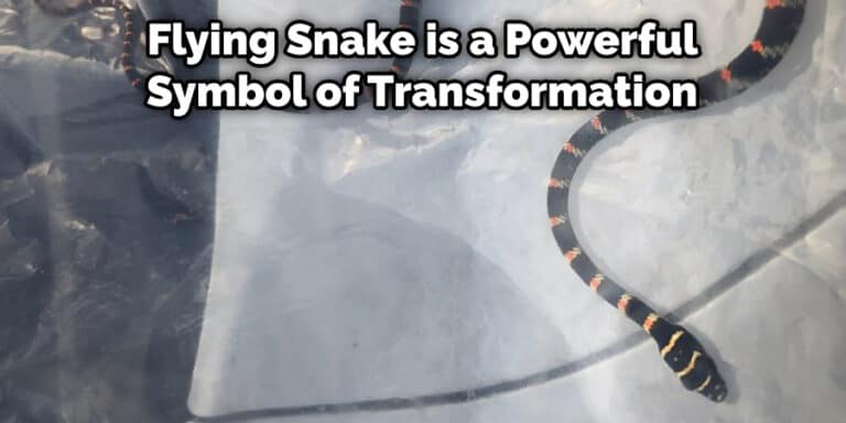 Flying Snake Spiritual Meaning, Symbolism, and Totem (2022)