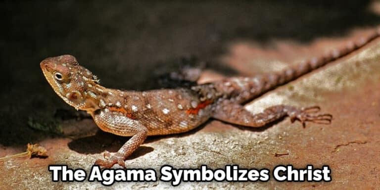 Agama Spiritual Meaning, Symbolism, and Totem | Detailed Guide