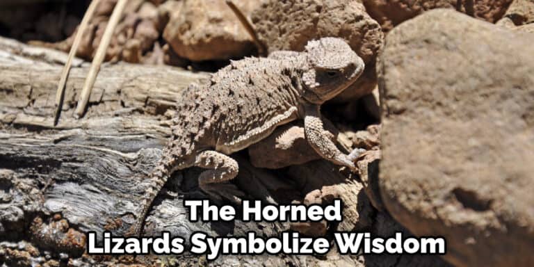 Horned Lizards Spiritual Meaning, Symbolism, and Totem (2025)