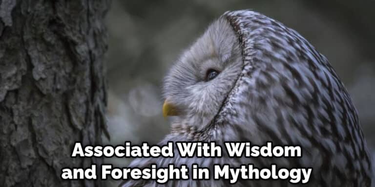 Ural owl Spiritual Meaning, Symbolism and Totem | Explained