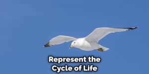 Ring-Billed Gull Spiritual Meaning, Symbolism and Totem (2025)