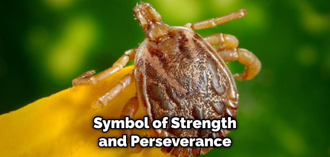 Tick Spiritual Meaning, Symbolism and Totem | Complete Guide