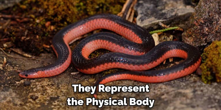 Worm Snake Spiritual Meaning, Symbolism and Totem (2022)
