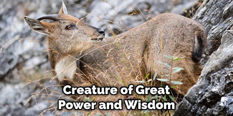 Goral Spiritual Meaning, Symbolism and Totem | (2025)